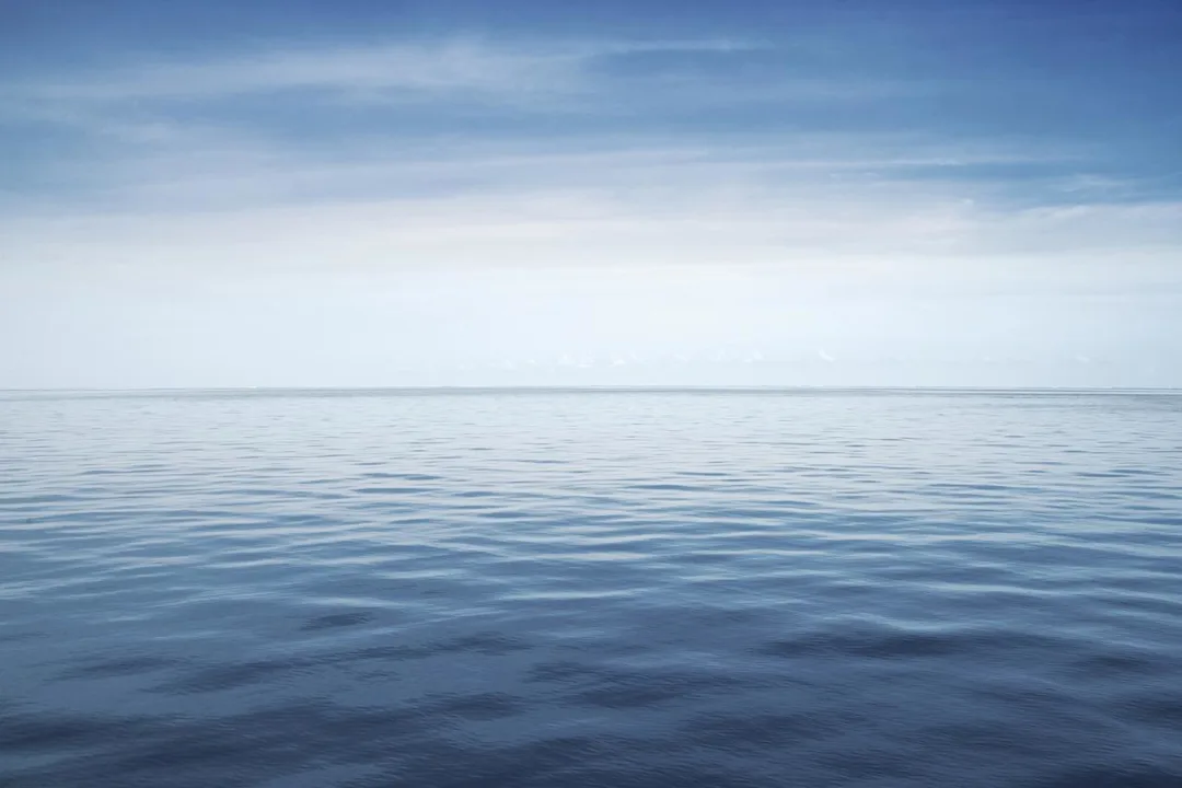 Process technology licensing | Neste