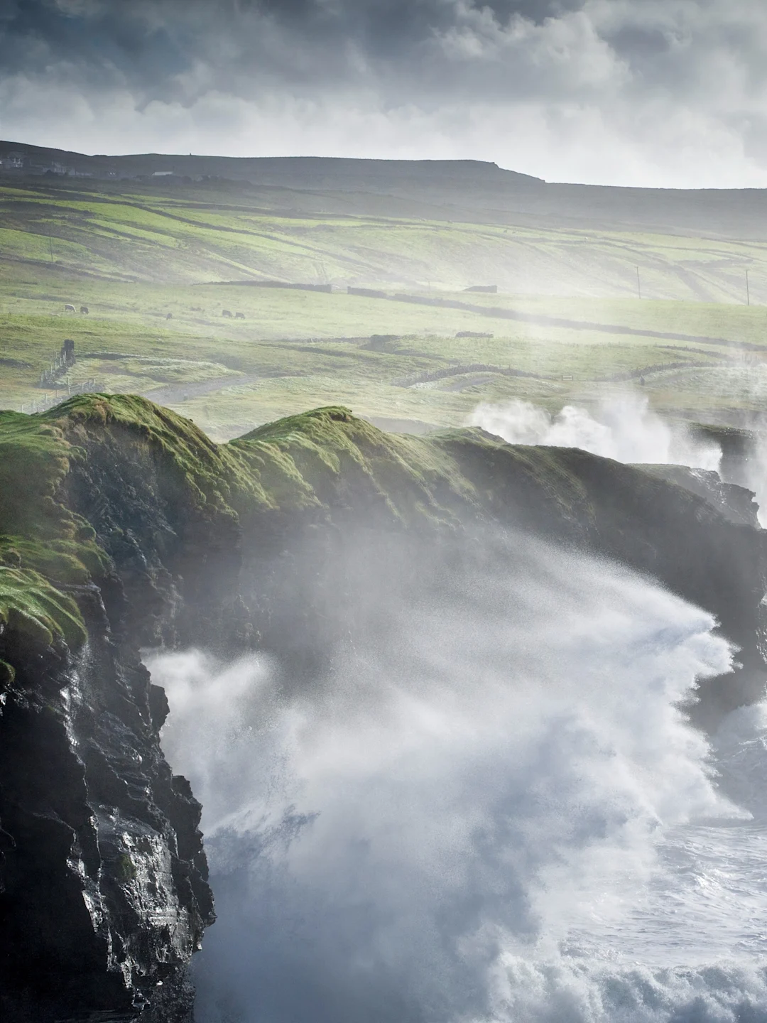 Process technology licensing | Neste