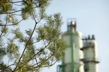 Licensed Process Technologies | Neste