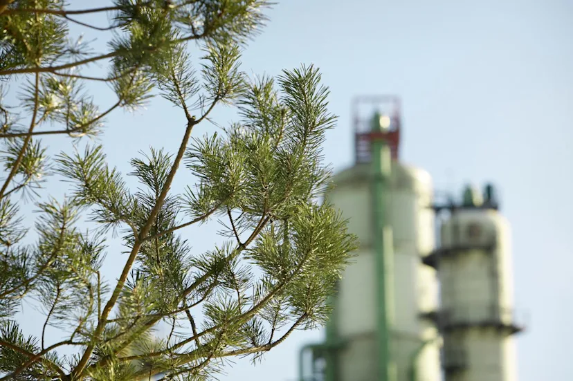 NEXPINUS intelligent tall oil fractionation technology | Neste