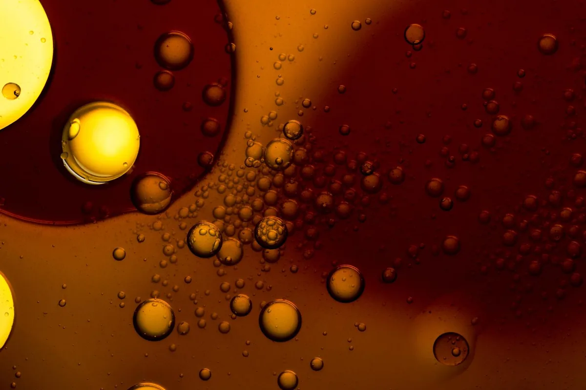 The ABC of used cooking oils | Neste