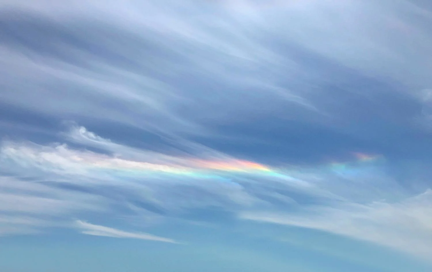 Sustainable innovations to watch | Neste