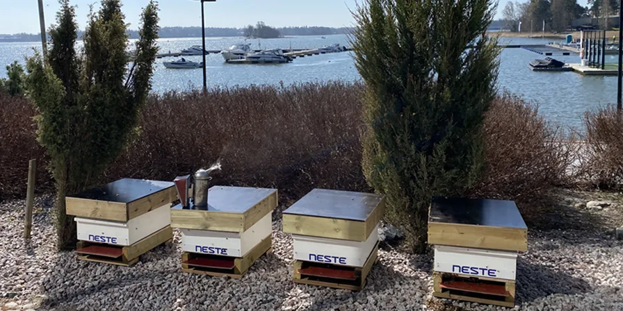 Bees, trees and other good deeds – what Neste does for the biodiversity ...