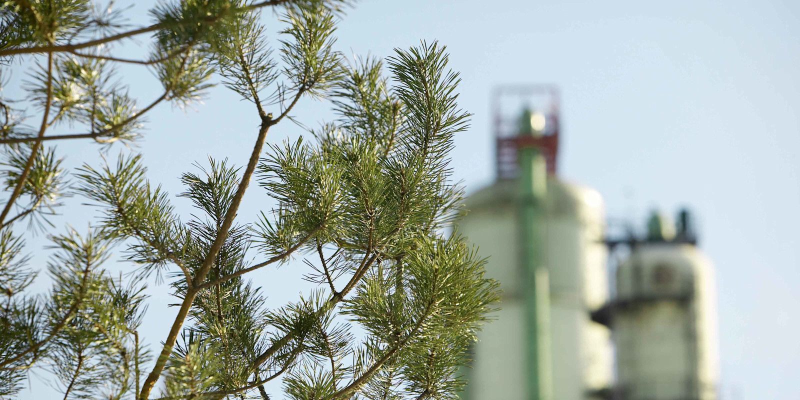 Transitioning towards a fossil-free future: a pioneering case study | Neste