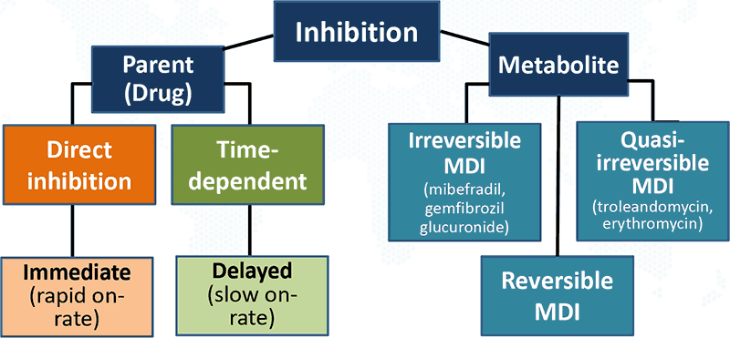 Irreversible Inhibition