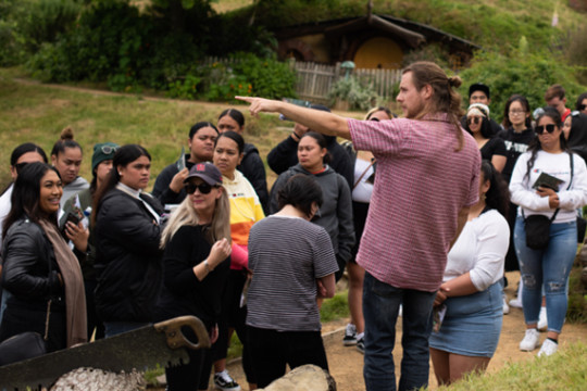 Diploma In Tourism & Travel Management, Level 5 | NZST