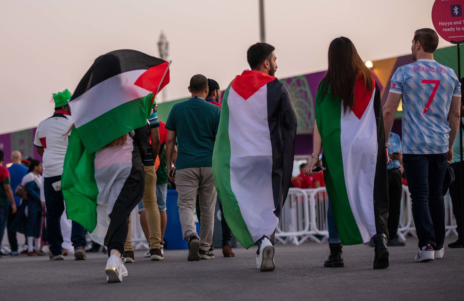 Executive Summary | Qatar Foundation