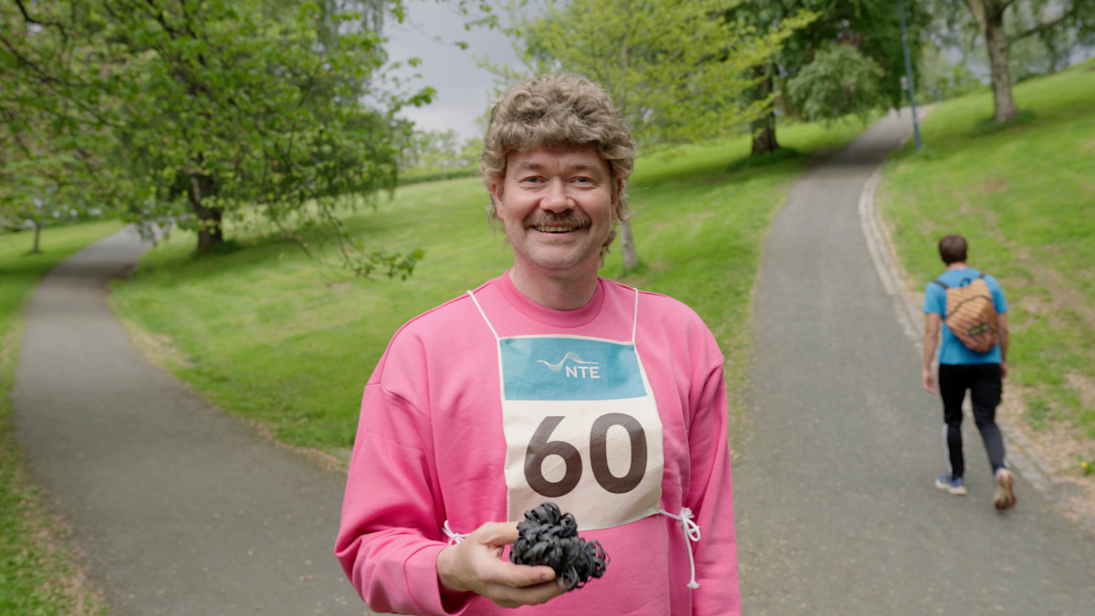 Make basse great again - NTE