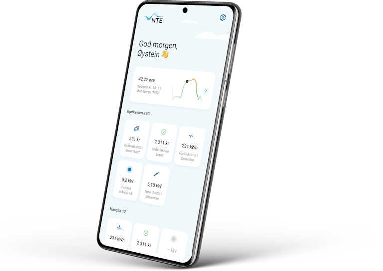 Last ned appen Mitt NTE og få full oversikt - NTE
