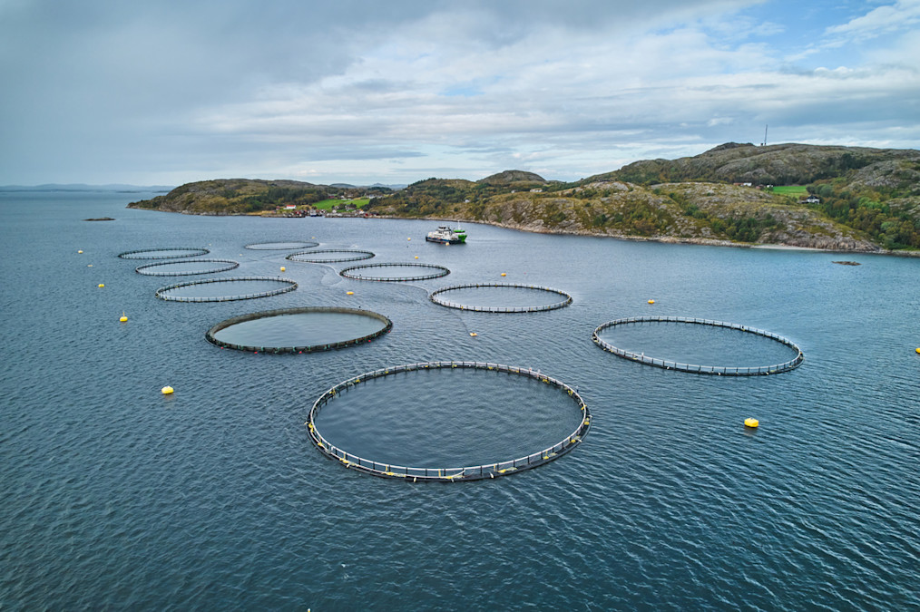 Tre steg for å elektrifisere oppdrettsanlegg - NTE