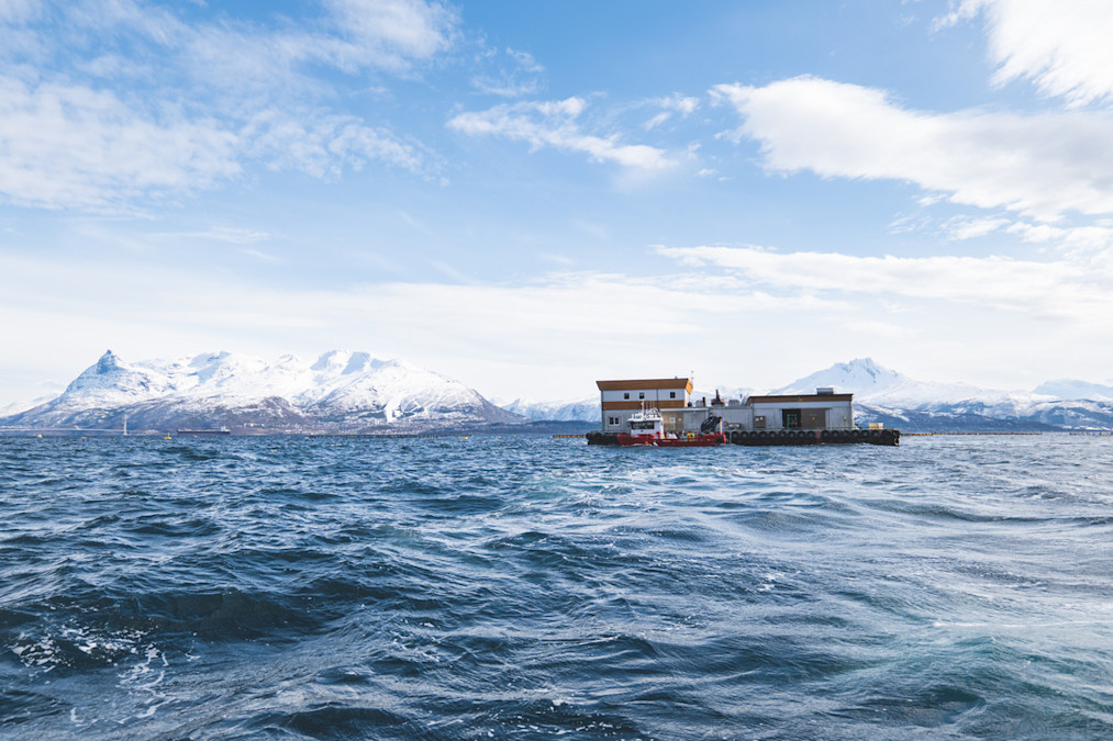 Tre gode grunner til å elektrifisere fôrflåten - NTE
