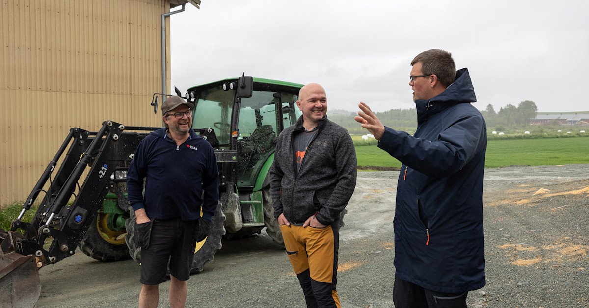 To gode naboer - NTE