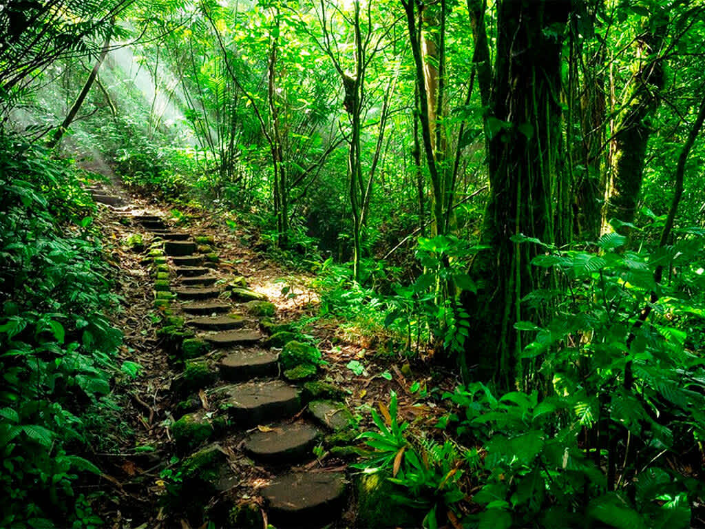 Aventura en el Volcán Mombacho | Nicaragua's Best Guides