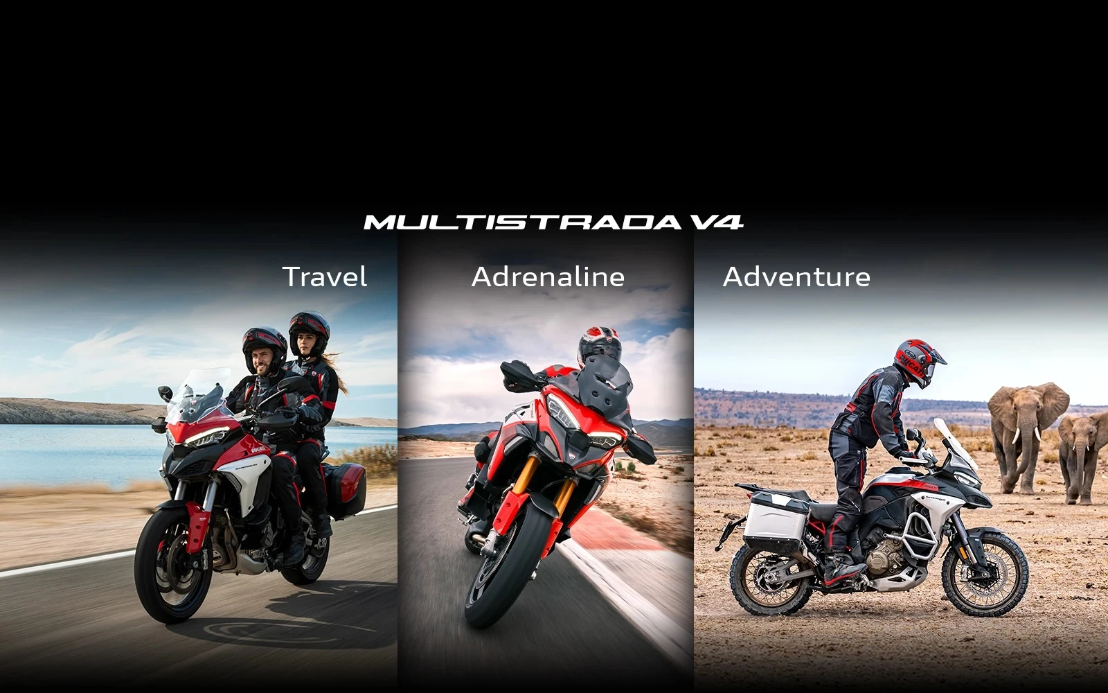 Ducati: Moto, MotoGP & Superbike