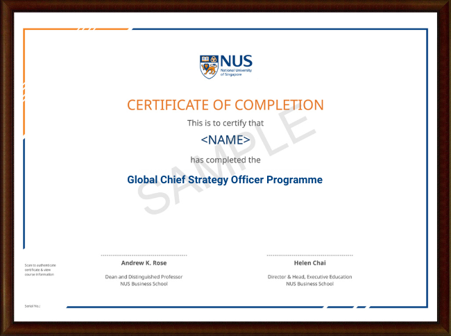 Global Chief Strategy Officer Programme | NUS Business School