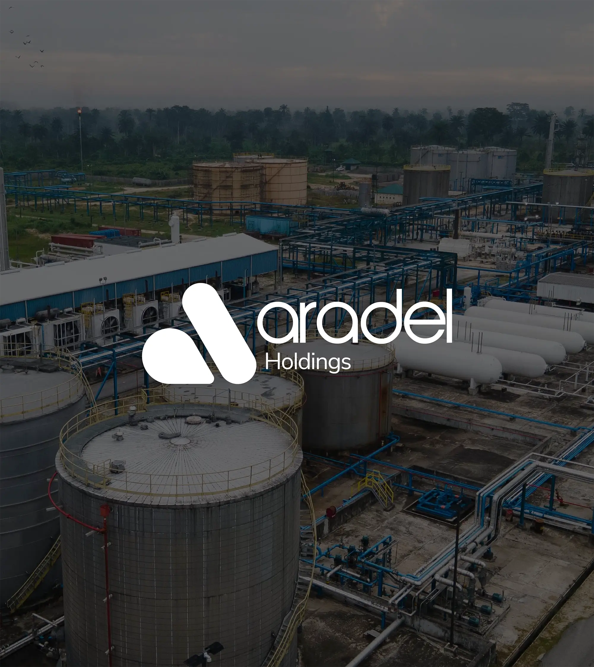 BLU Flamingo Africa | Africa's leading tech enabled Integrated marketing communications company