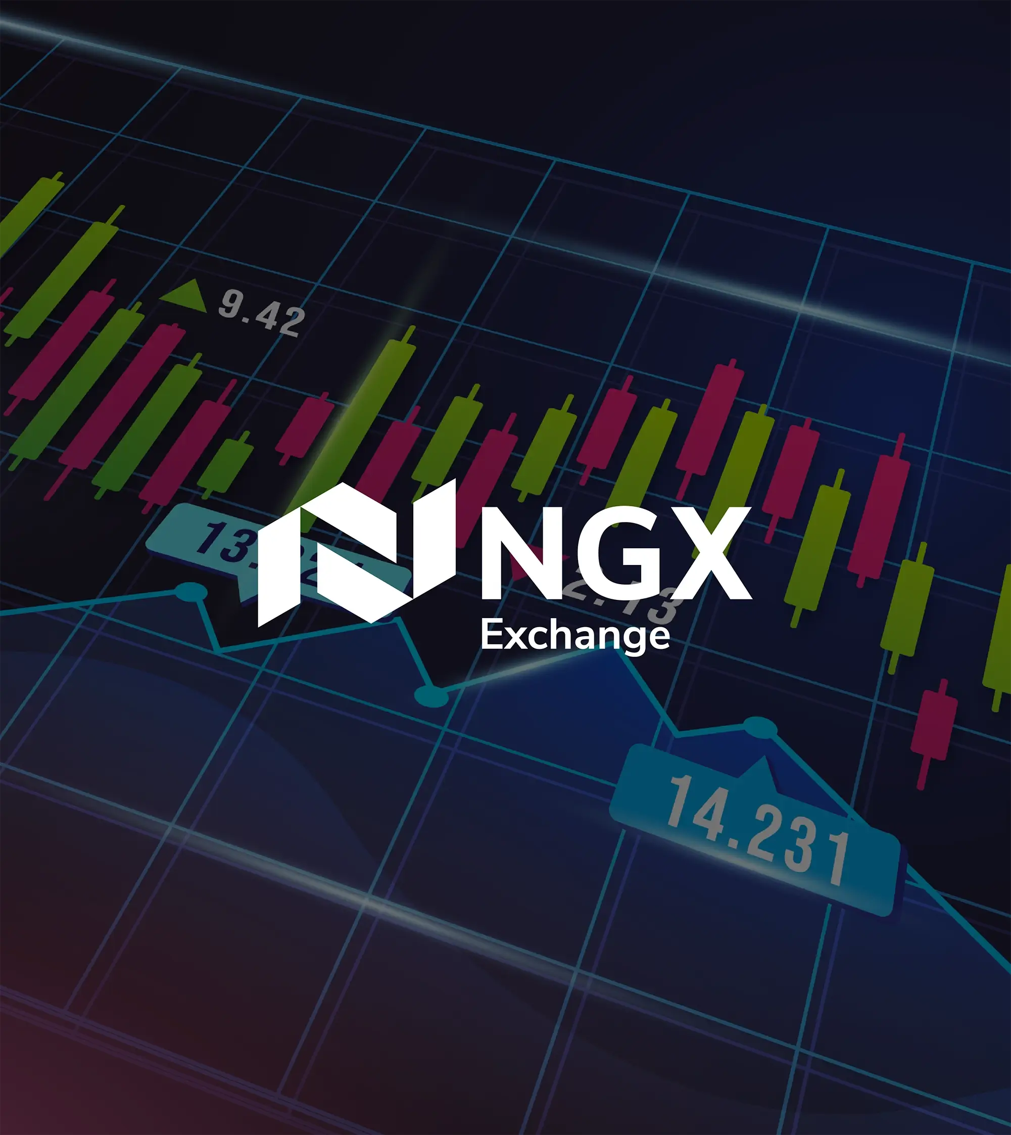 BLU Flamingo Africa | Africa's leading tech enabled Integrated ...