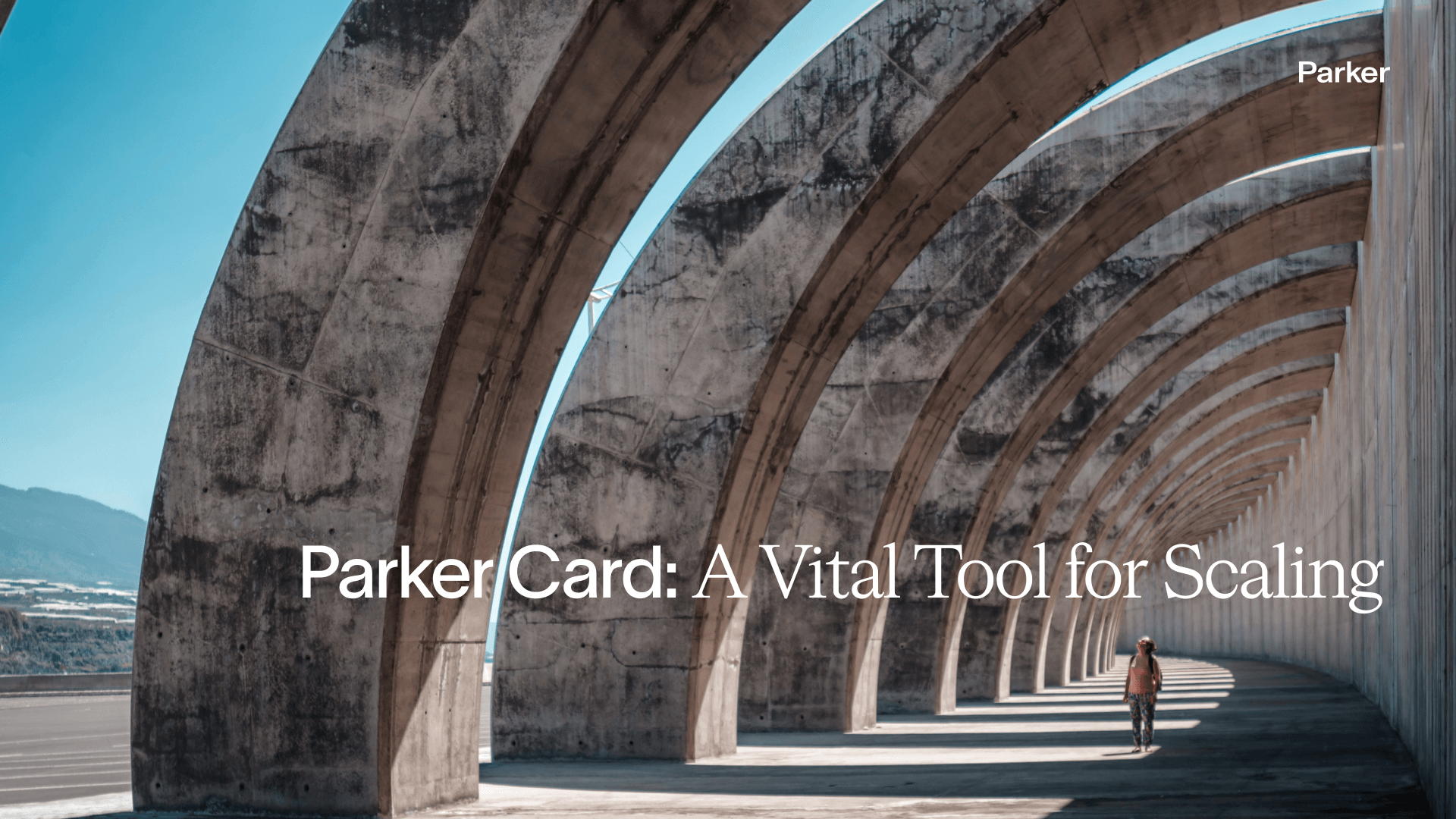 Parker Card: A Vital Tool for Scaling Ecommerce Businesses | Parker