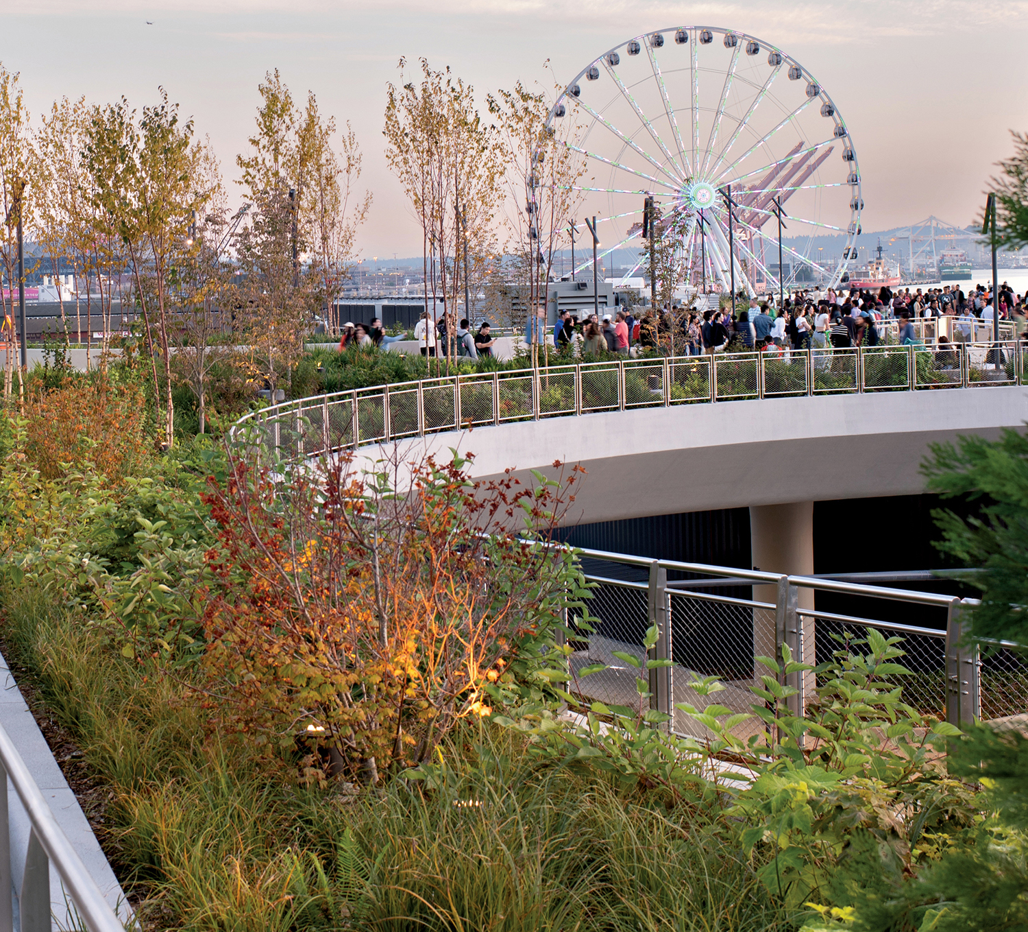 Go Behind Seattle's Overlook Walk With Land Morphology | LUXE Interiors ...