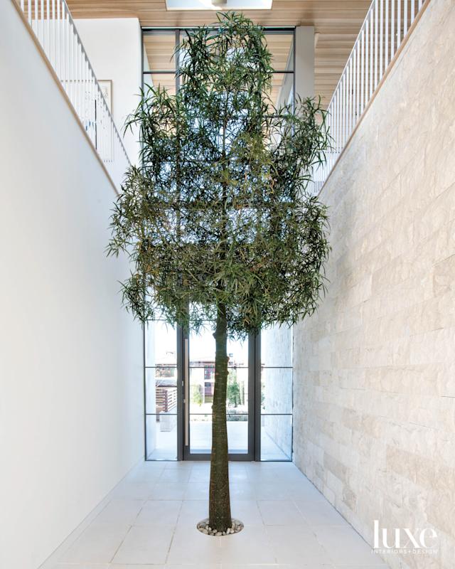 A Manhattan Beach Residence Is Designed Around A Tree | Luxe Interiors ...