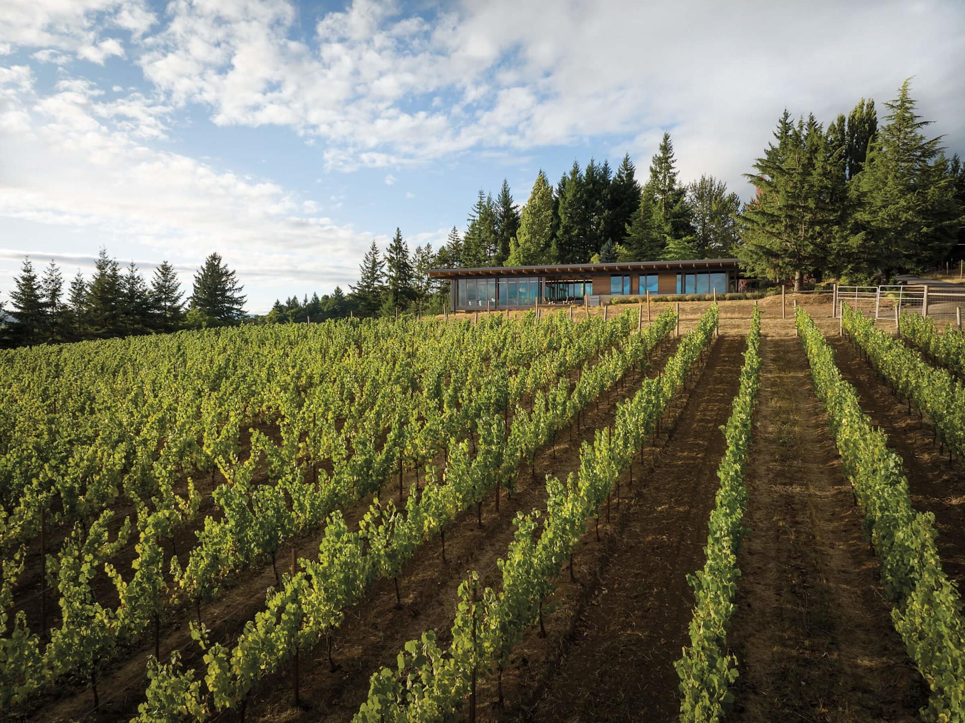 An Oregon Wine Country Home Looks To Nature For Its Design | Luxe ...