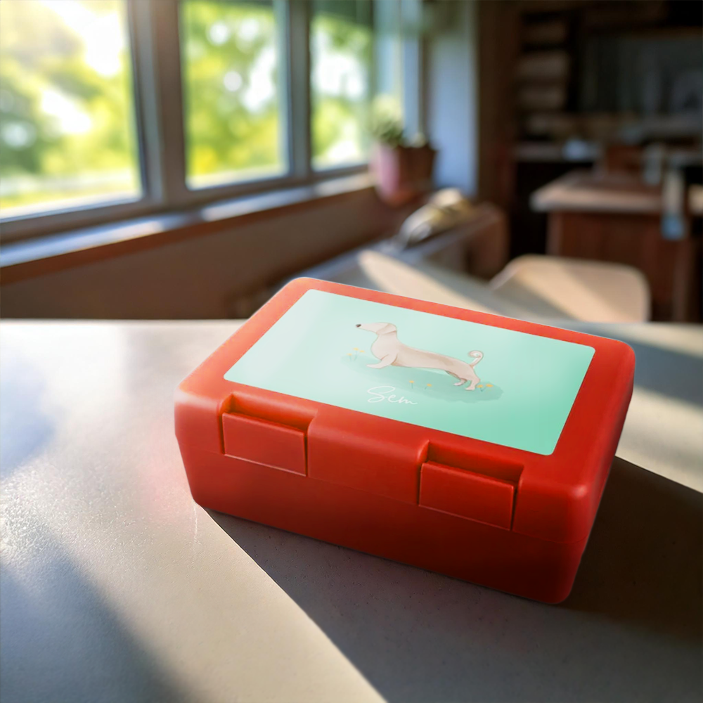 Foto-Lunchbox mit anhängendem Deckel | HelloPrint