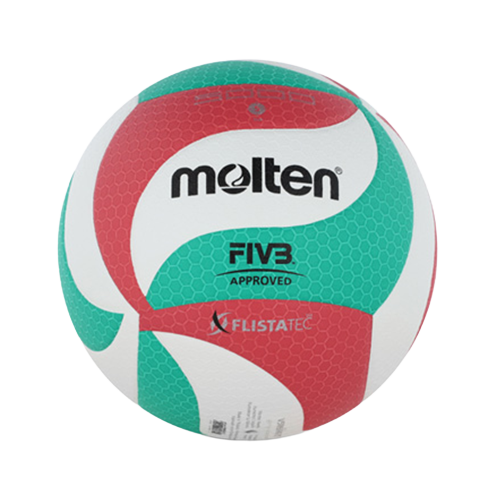 Ballons de volleyball Molten | HelloPrint