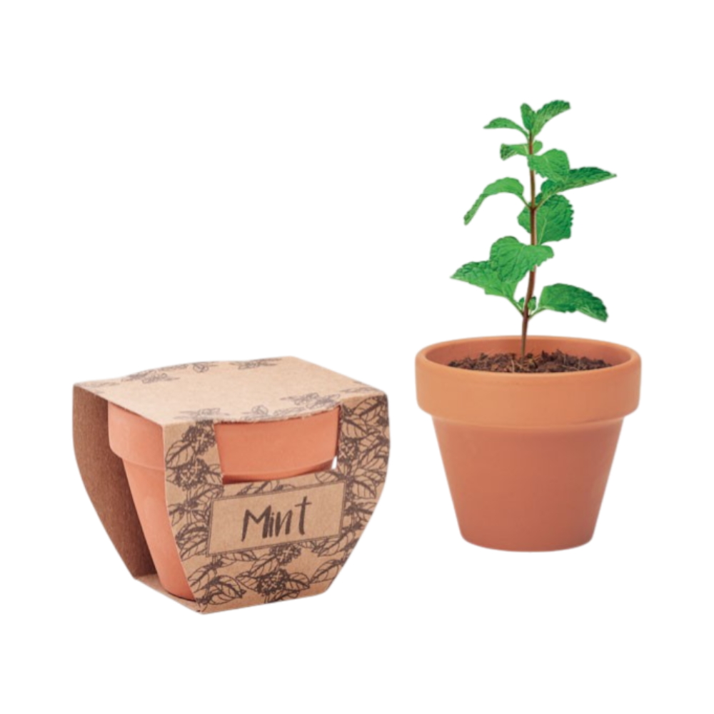Vaso in Terracotta con Semi di Menta | HelloPrint