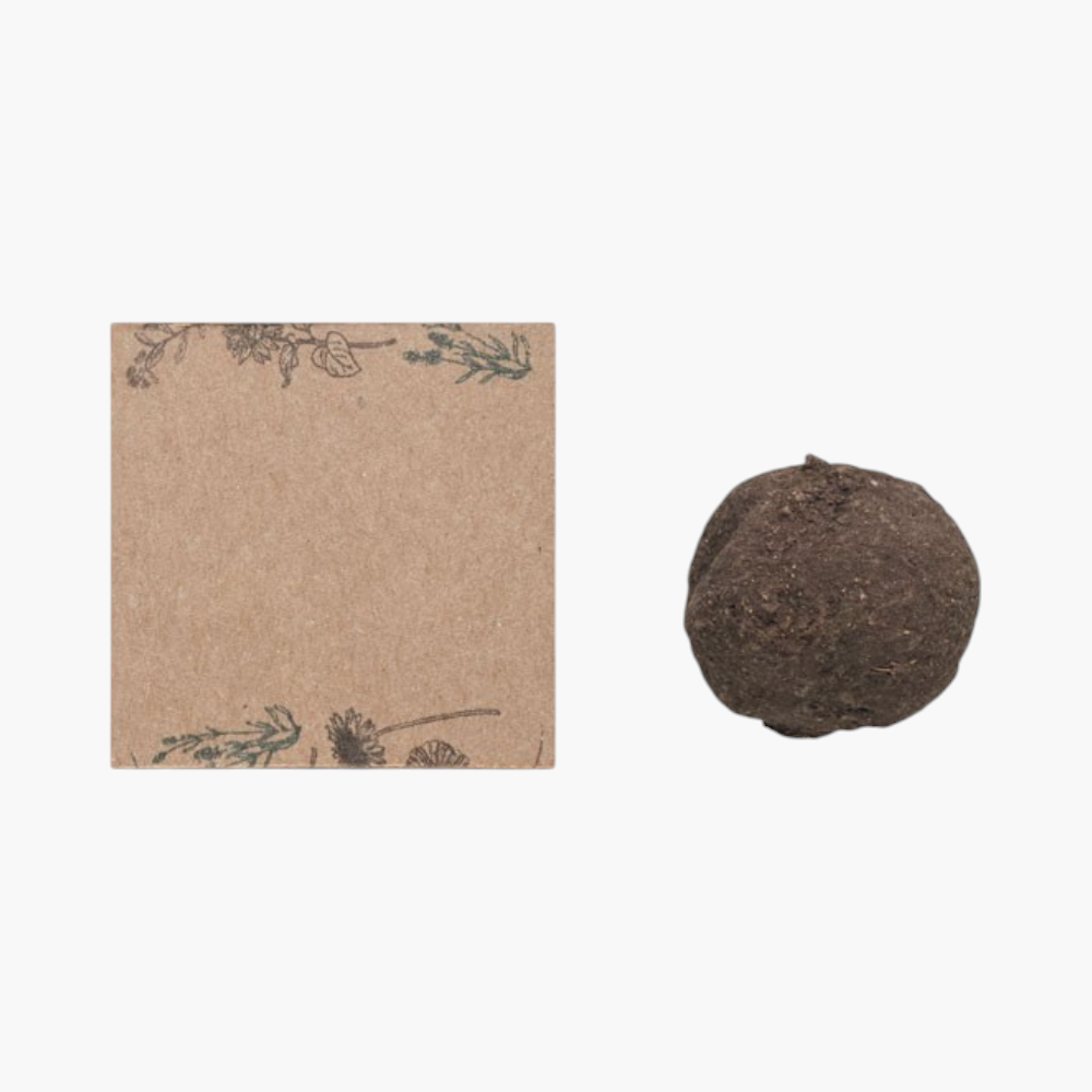 Seed Bomb Growing Kit | HelloPrint