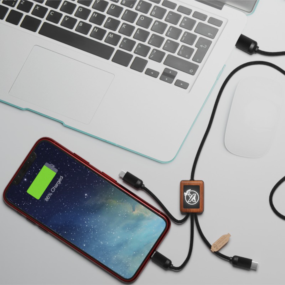 3-in-1 Recycled PET and Bamboo Cable | HelloPrint