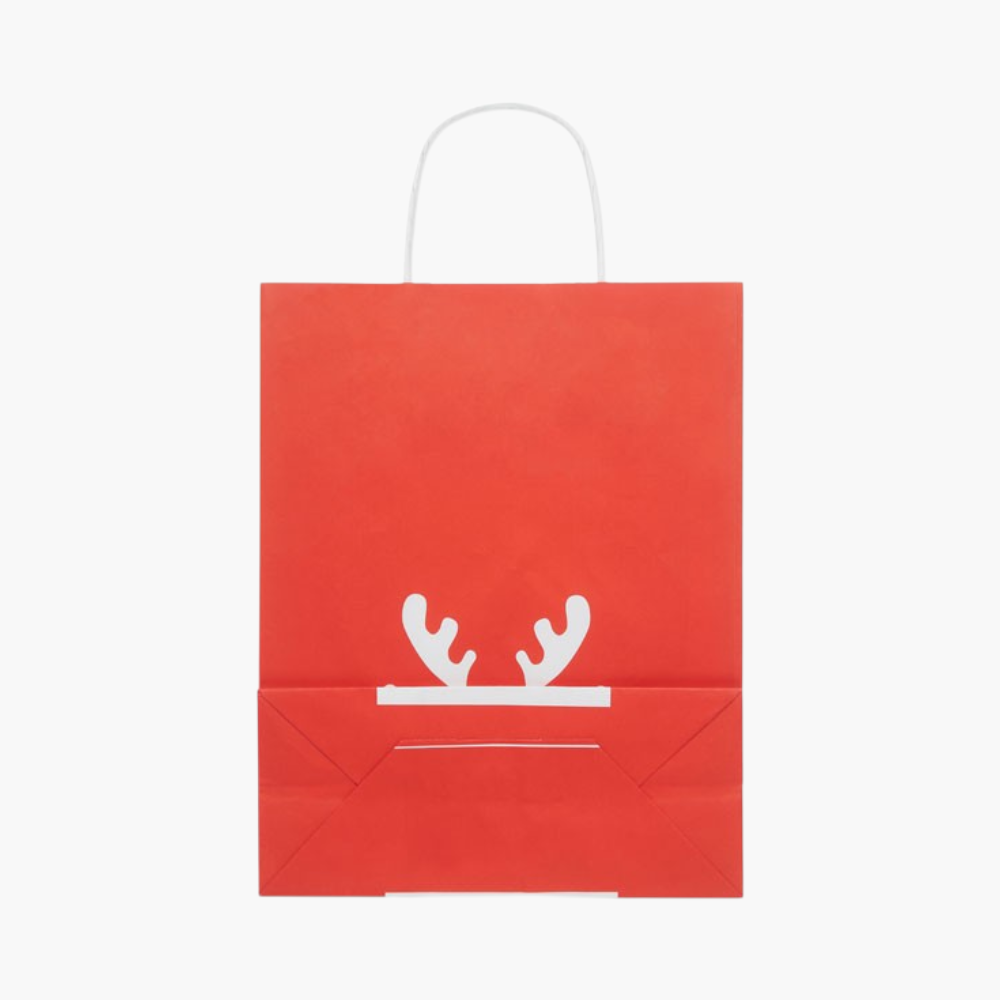 BAO MEDIUM Recycled Paper Gift Bag | HelloPrint