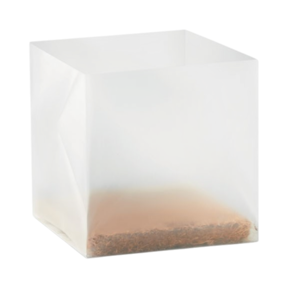 Compost con semillas de menta | HelloPrint