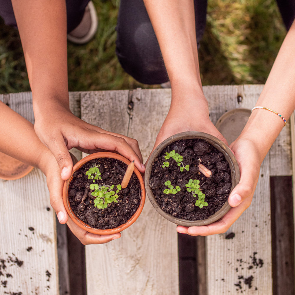 Sproutworld potloden bedrukken | HelloPrint