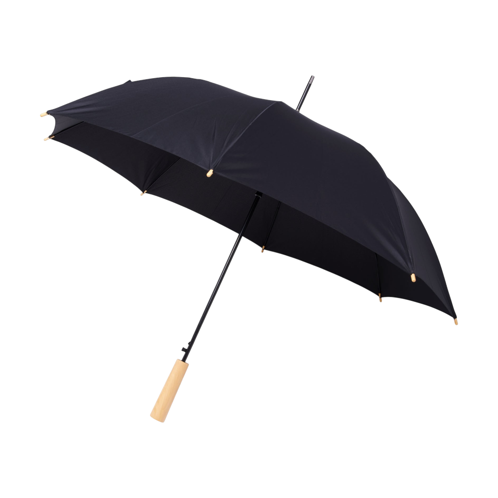 Alina Auto Open Recycled PET Umbrella | HelloPrint