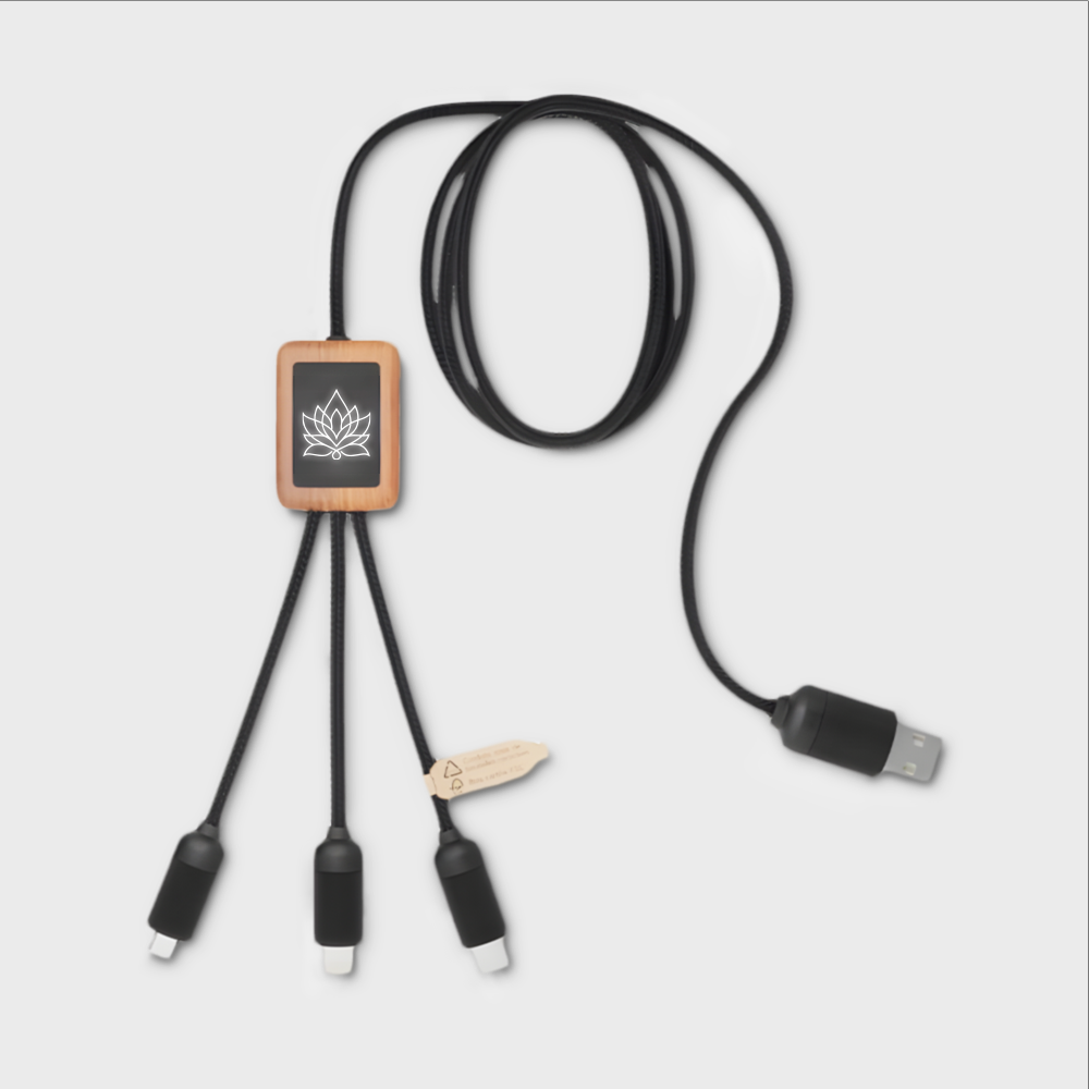 3-in-1 Recycled PET and Bamboo Cable | HelloPrint