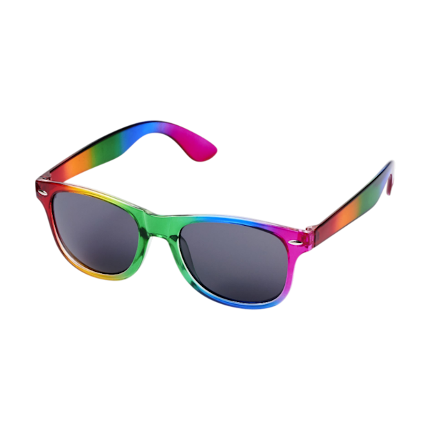 PC Plastic Rainbow Sunglasses | HelloPrint