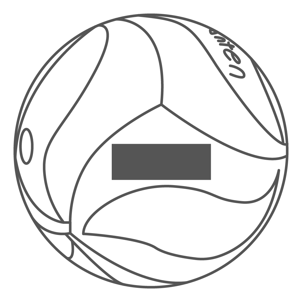 Molten volleyballen | HelloPrint