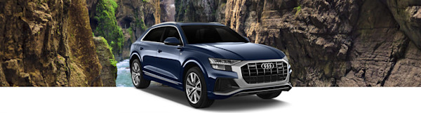 Make your choice among the most prestigious car brands!