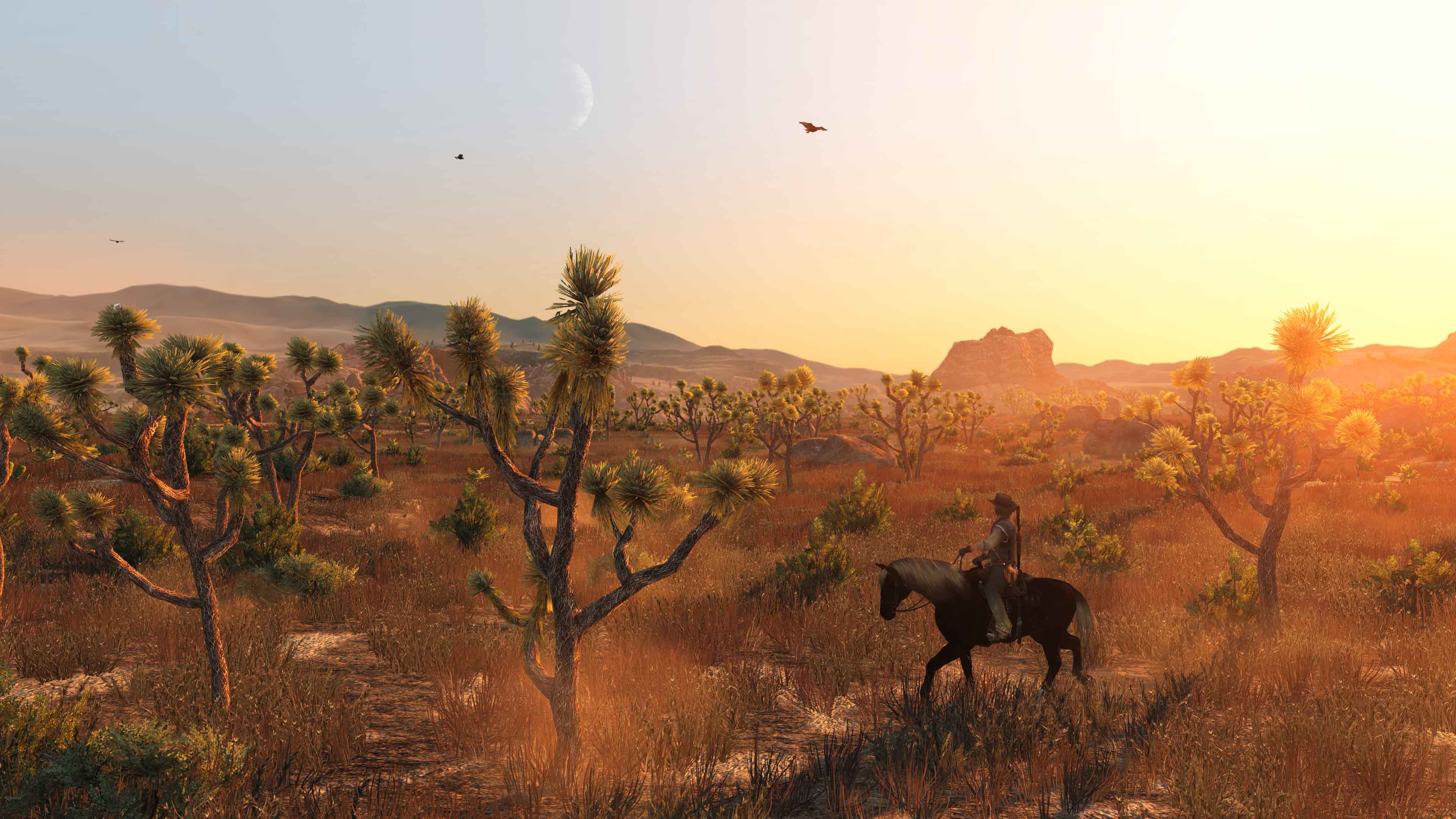 Buy Red Dead Redemption | Rockstar Store