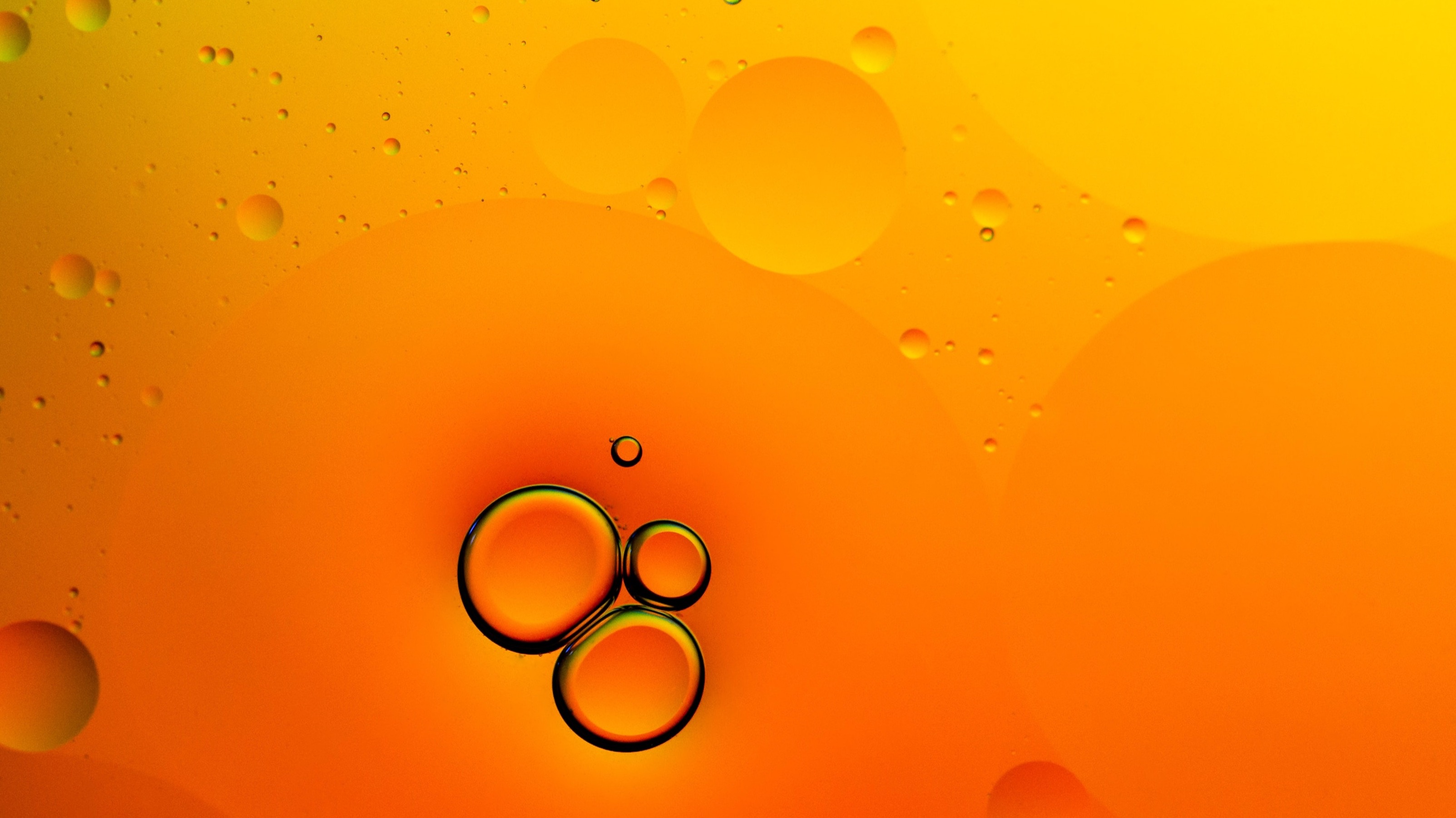 On Javascript transpilers, bundlers and modules | Jacco Meijer