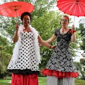 Festival Strings & Salsa Night - Ordway