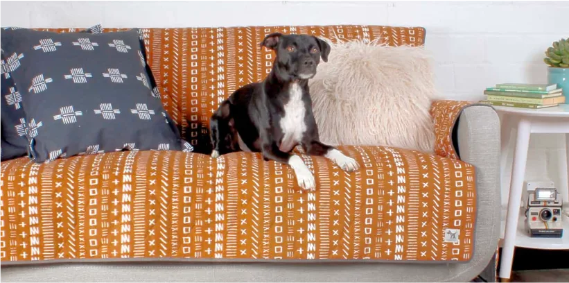 Ecommerce Case Studies (Showing Huge Growth) | BigCommerce