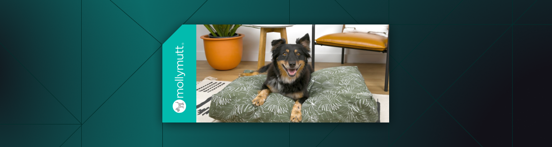 Molly Mutt Builds a Better Shopping Experience for Dog Owners