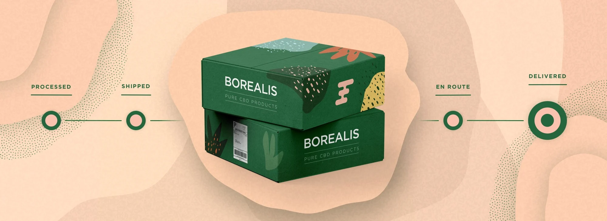 From Seed to Shelf - The CBD Manufacturing Process Explained