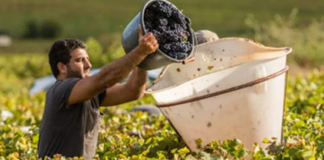 Mega Thing Case Study | BigCommerce