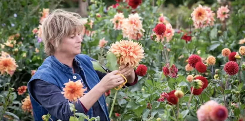 Ecommerce Case Studies (Showing Huge Growth) | BigCommerce