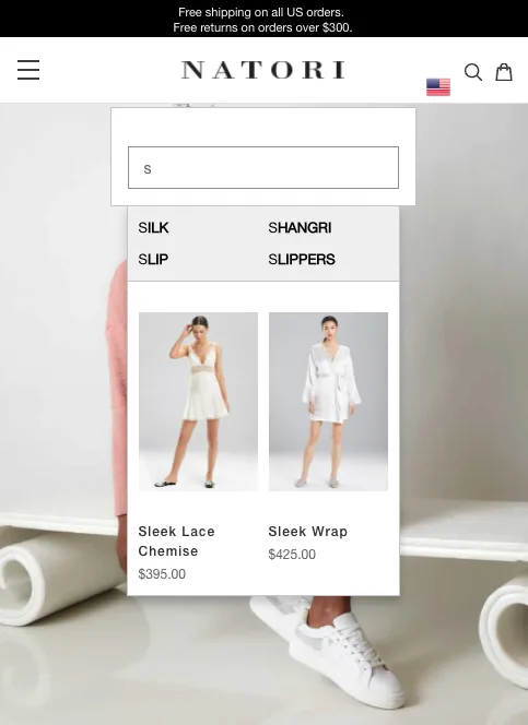 Ecommerce Site Search Best Practices [Examples]