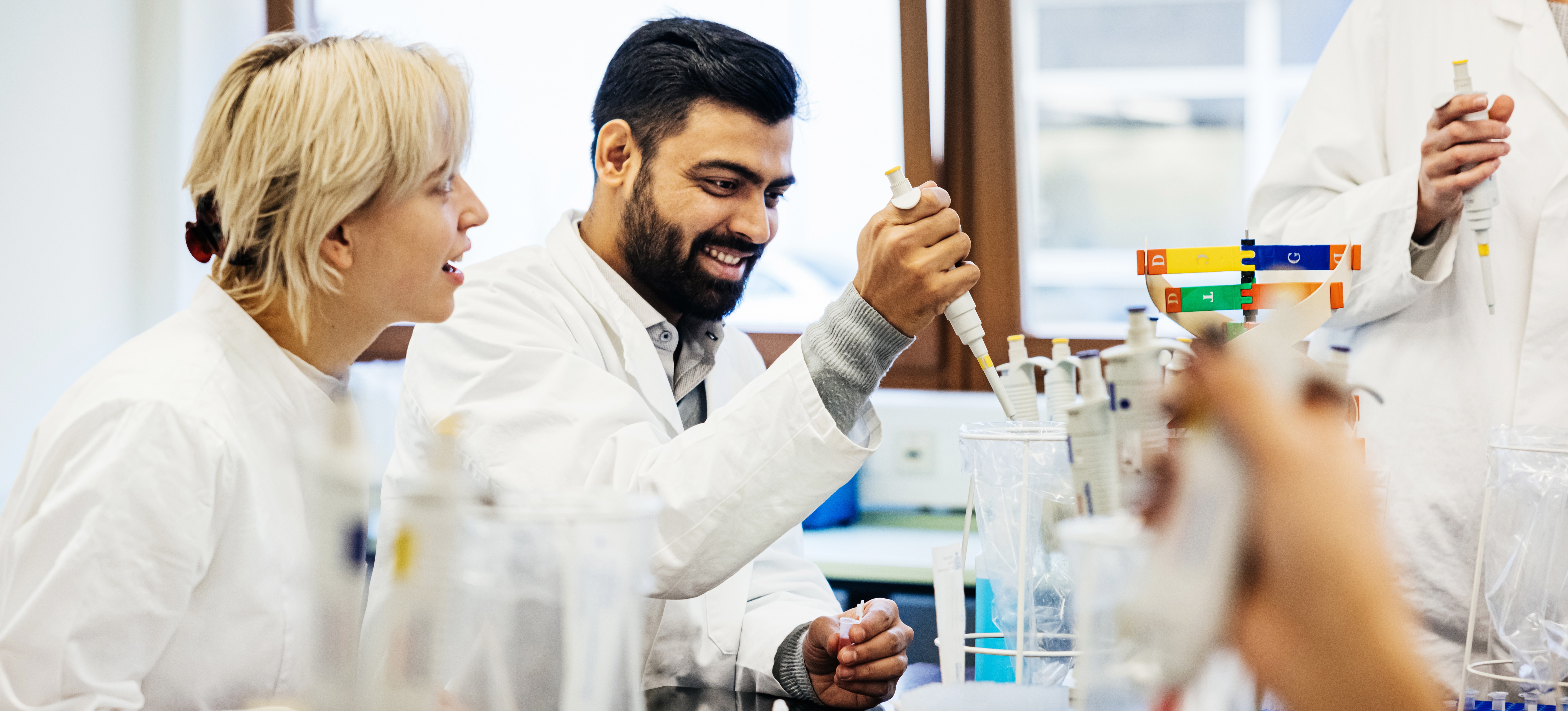 Career Options and Jobs After BSc | Coursera