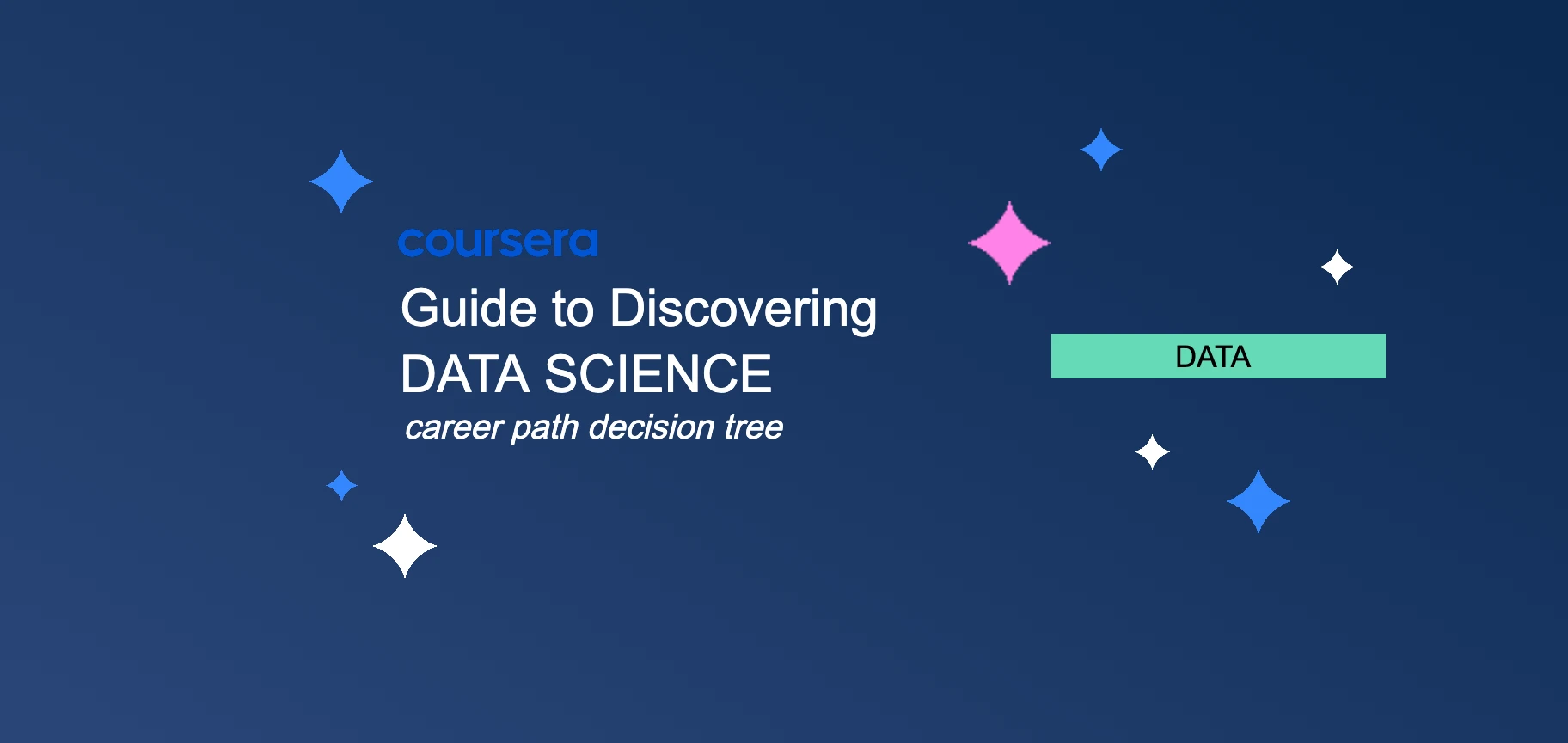 Guide to Discovering Data Science Careers (Career Path Decision Tree ...