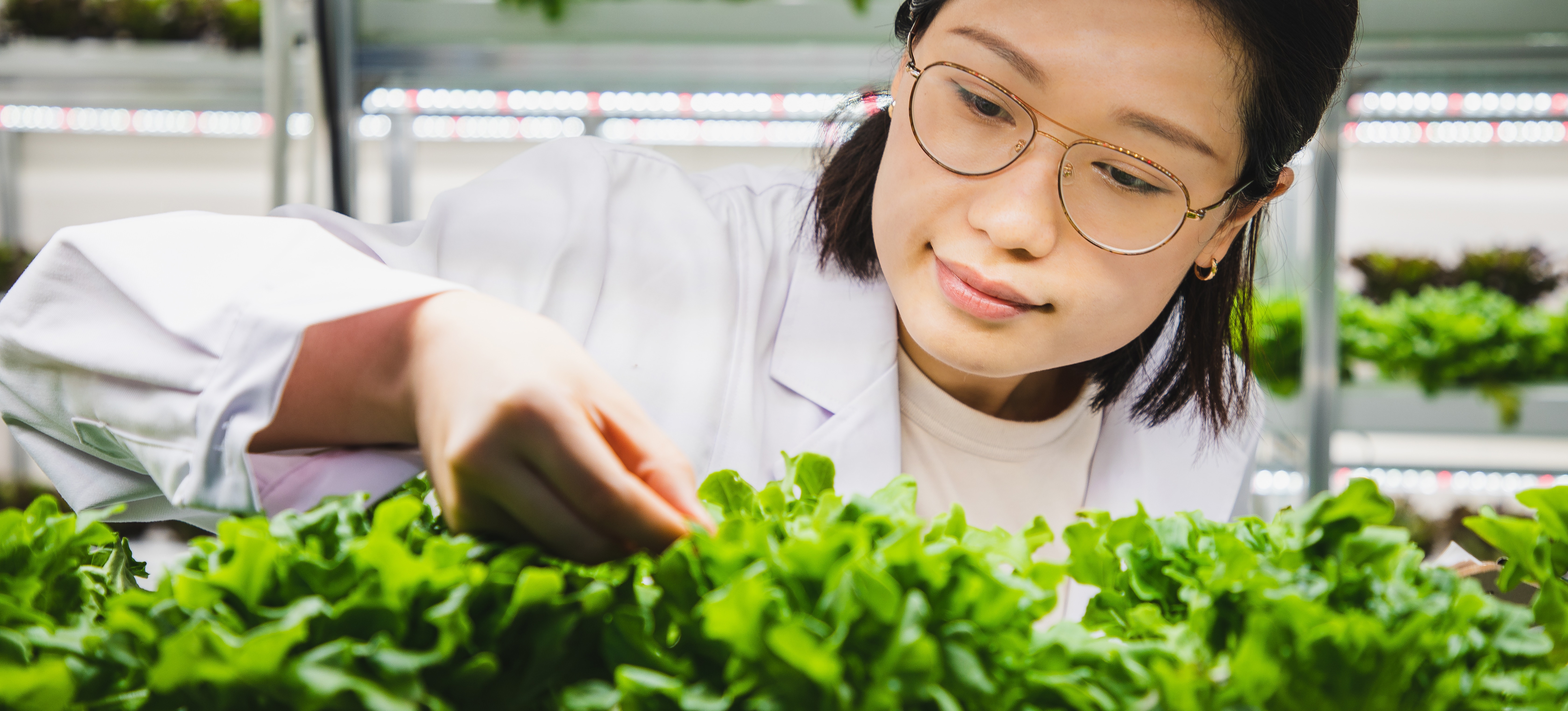 Food Science: What It Is and Why It Matters | Coursera